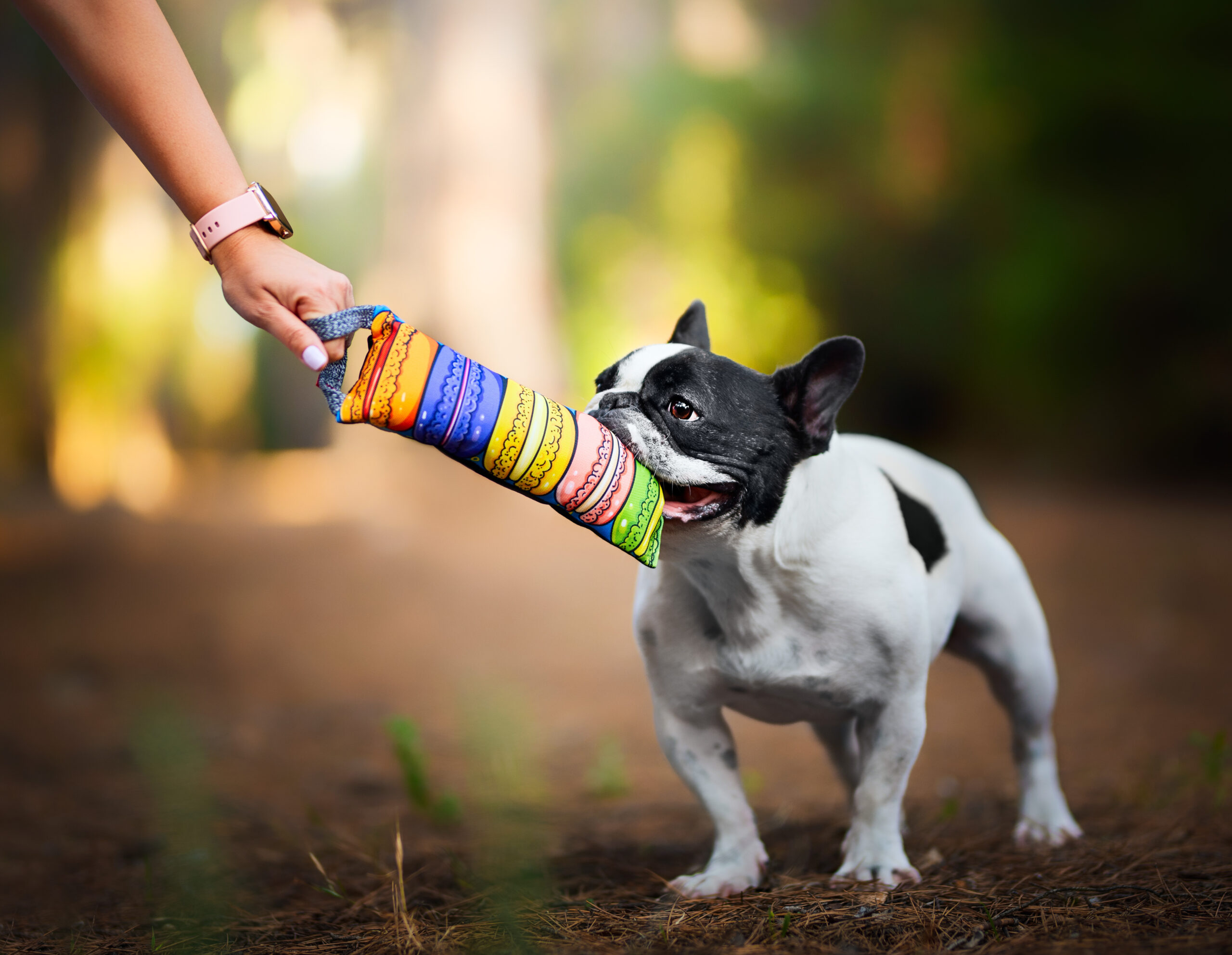 Gallery - Mind My Frenchie - Accessories and Toys for French Bulldogs